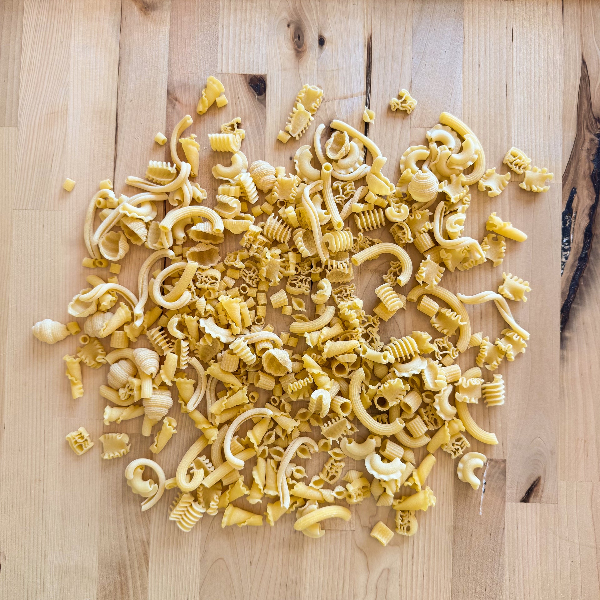 Etto Pasta Full Collection | Etto Pastificio